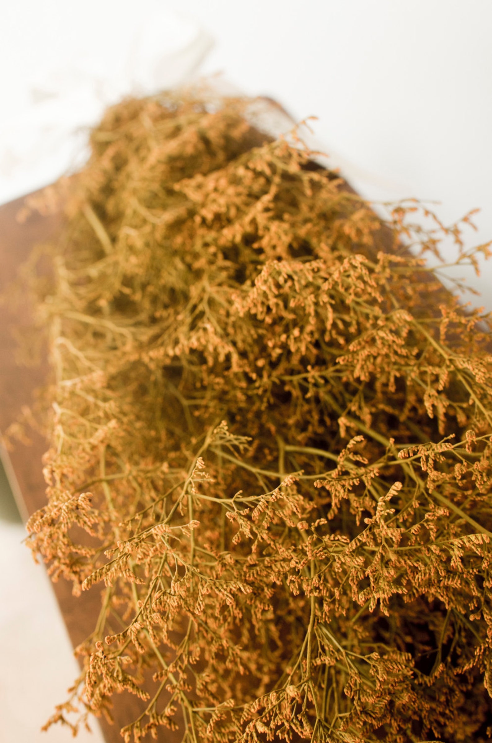 Bunch of Preserved Gold Misty Gold Caspia Mustard Yellow | Etsy