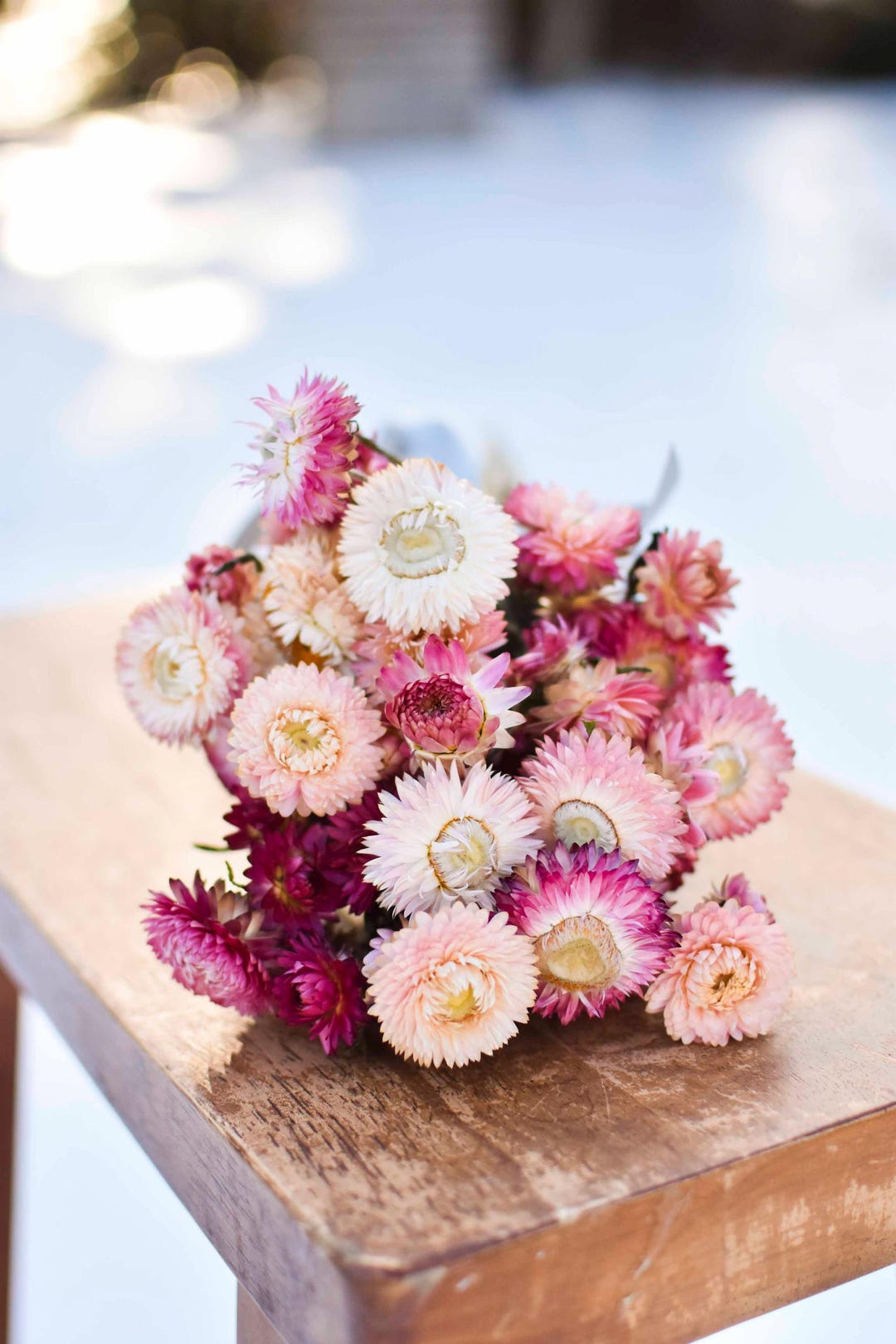 Blush Pink Strawflowers | Everlasting Dried Flower Bunch, 3oz | for ...