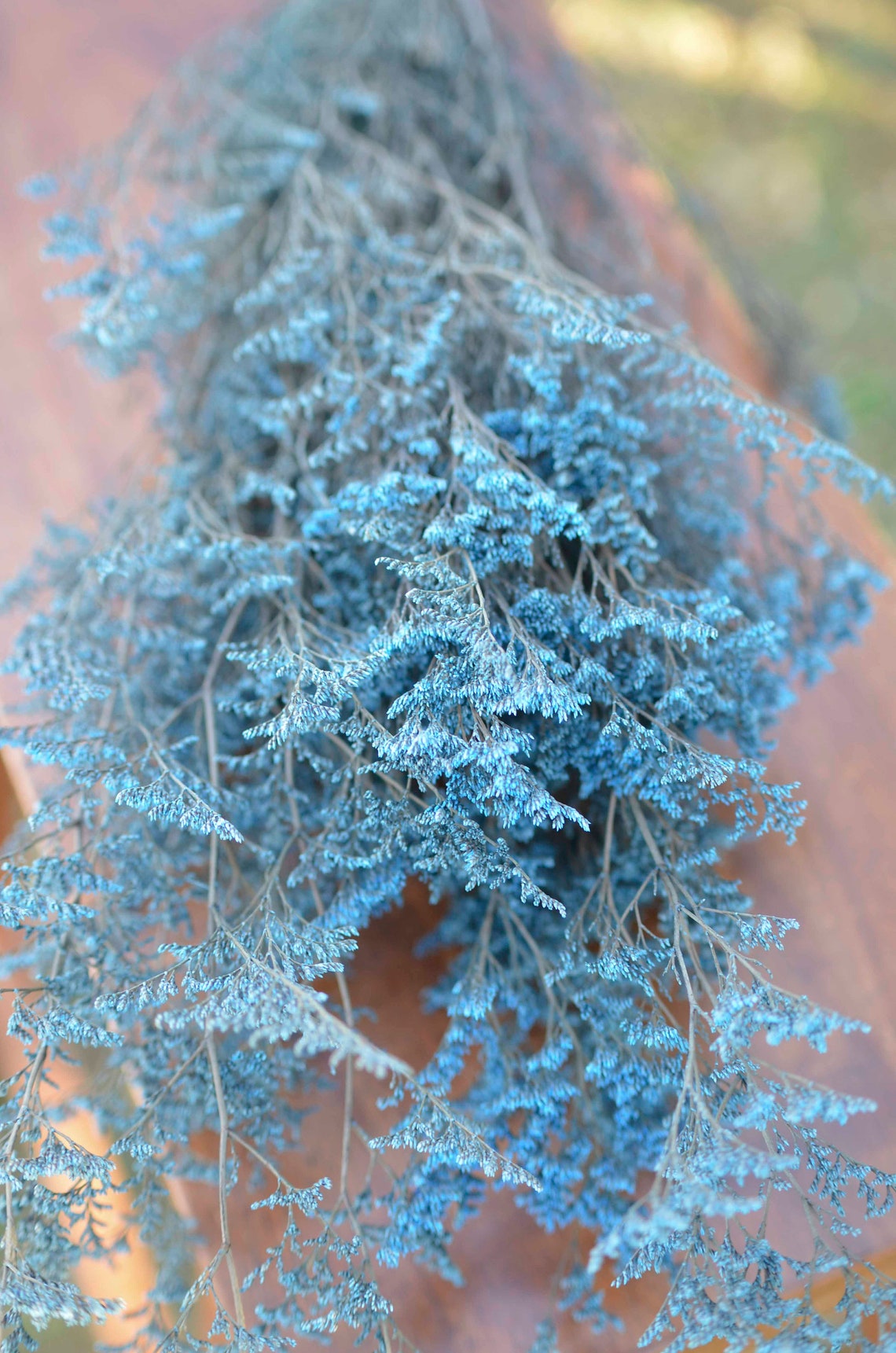 Bunch of Preserved Medium Blue Misty Blue Caspia Blue - Etsy UK