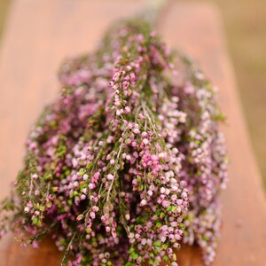 Bunch of Preserved Pink Heather, Pink Heather, Pink Wedding Flowers ...