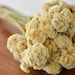 Dried Buff Cockscomb, Yellow/cream Cockscomb, Cream Flowers, Ivory ...