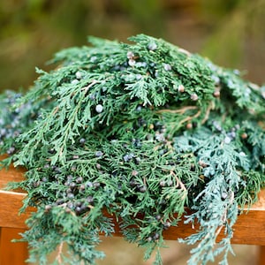 Fragrant Preserved Juniper Greenery: Winter Wreath Supplies - Etsy