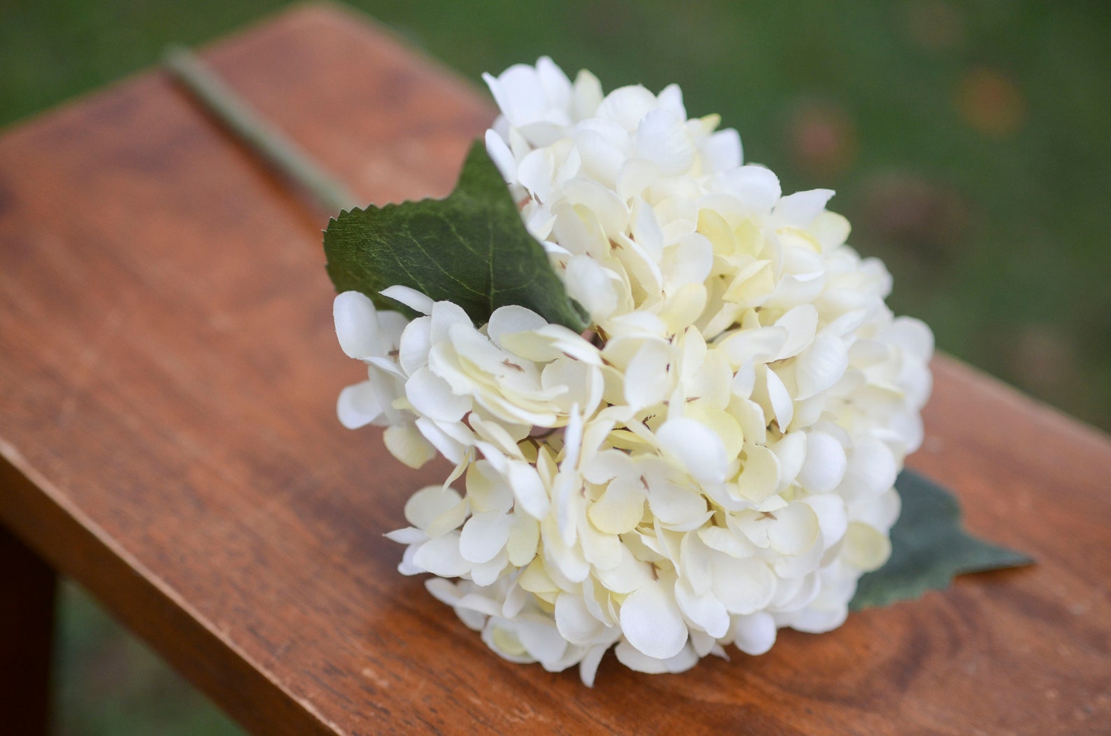 Cream Silk Hydrangea Cream Hydrangea Silk Hydrangeas - Etsy