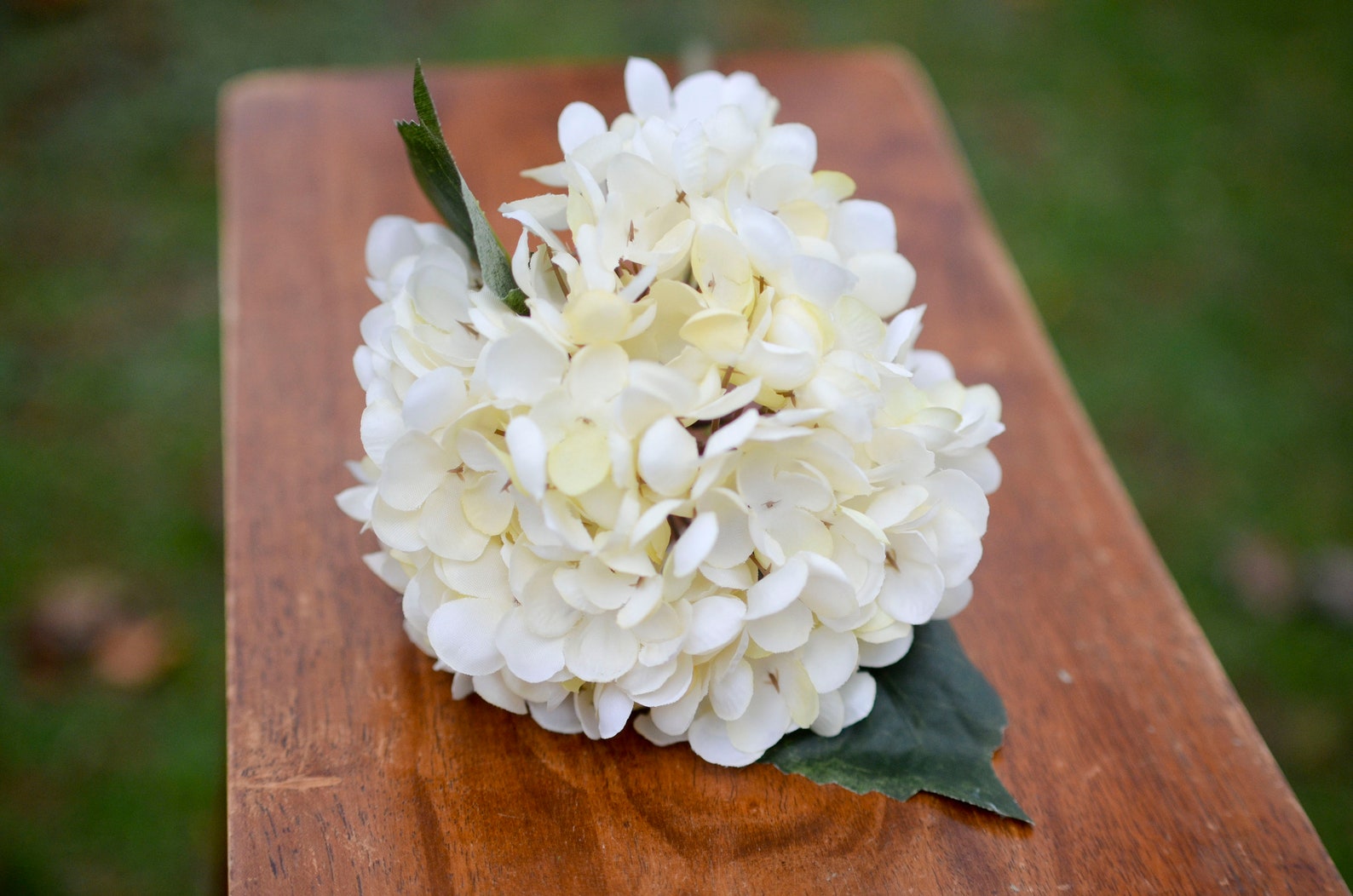 Cream Silk Hydrangea Cream Hydrangea Silk Hydrangeas - Etsy