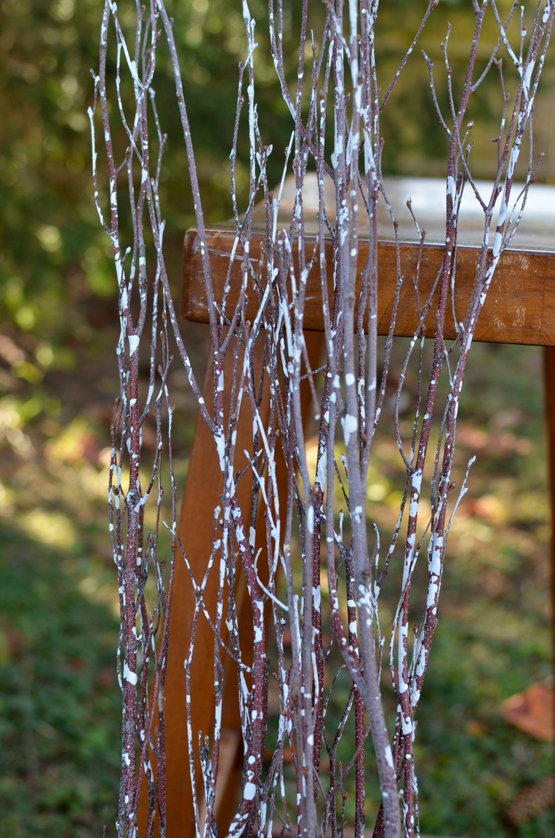 Birch Branches Woody Stems Birch Bundles Twigs Twig Bunch - Etsy