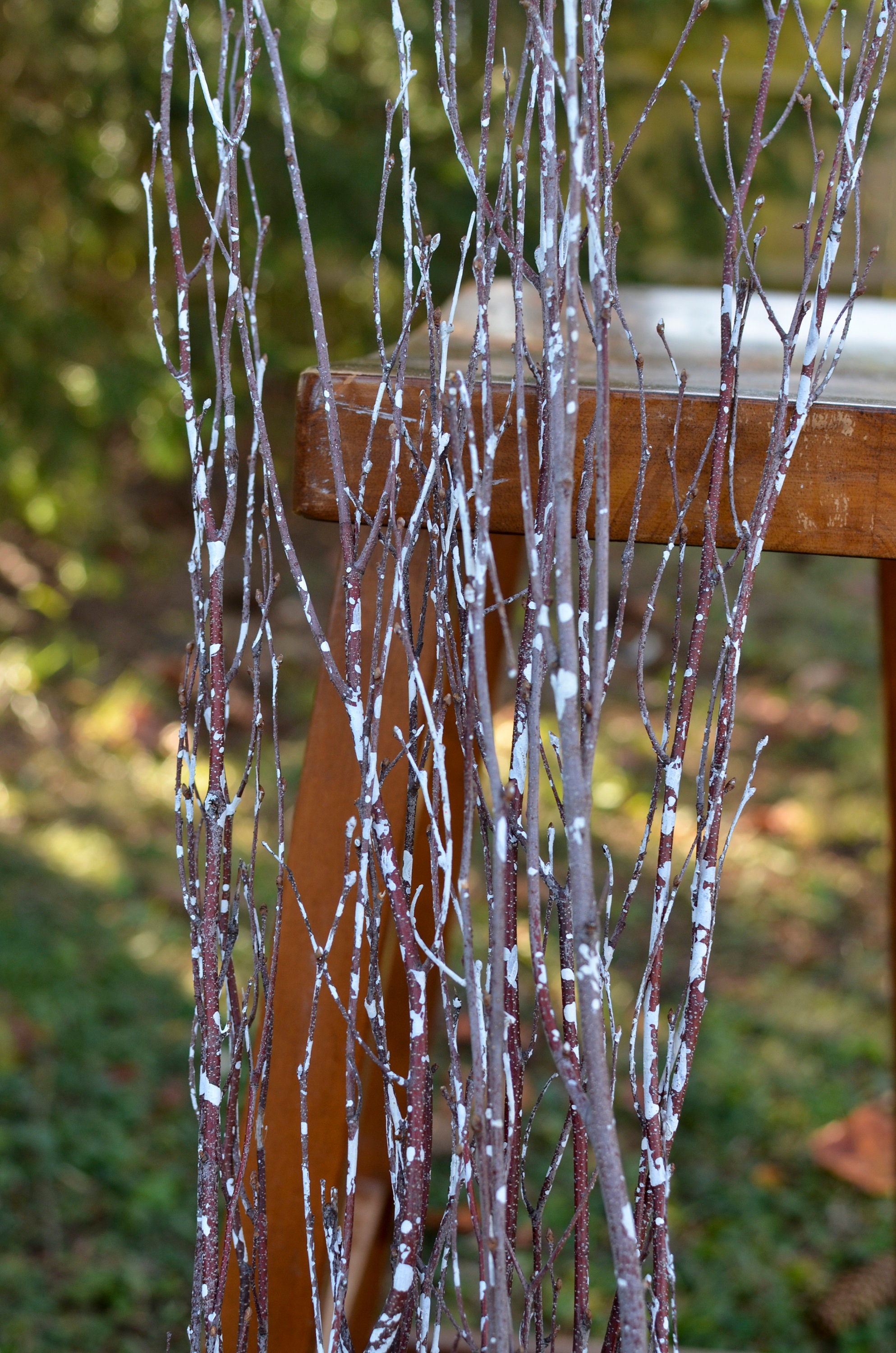 Birch Branches Woody Stems Birch Bundles Twigs Twig Bunch - Etsy UK