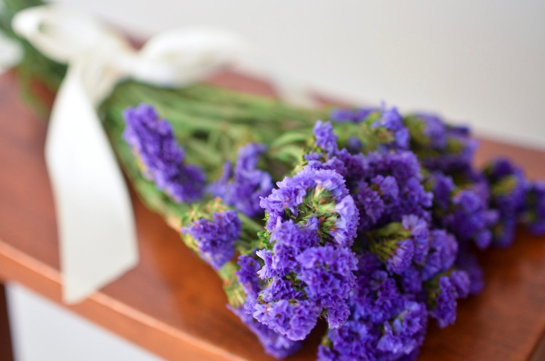 Bouquet de statice violet, statice violet séché, statice violet teint ...