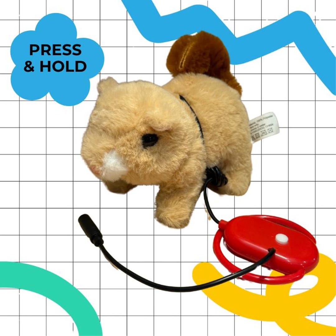 Switch Adapted Squirrel Walking Toy - Etsy