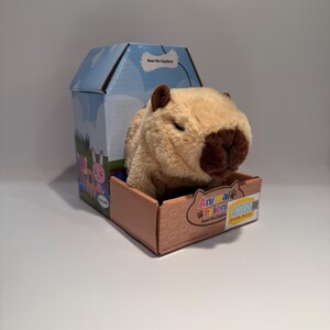 Switch Adapted Plush Capybara Walking Toy - Etsy