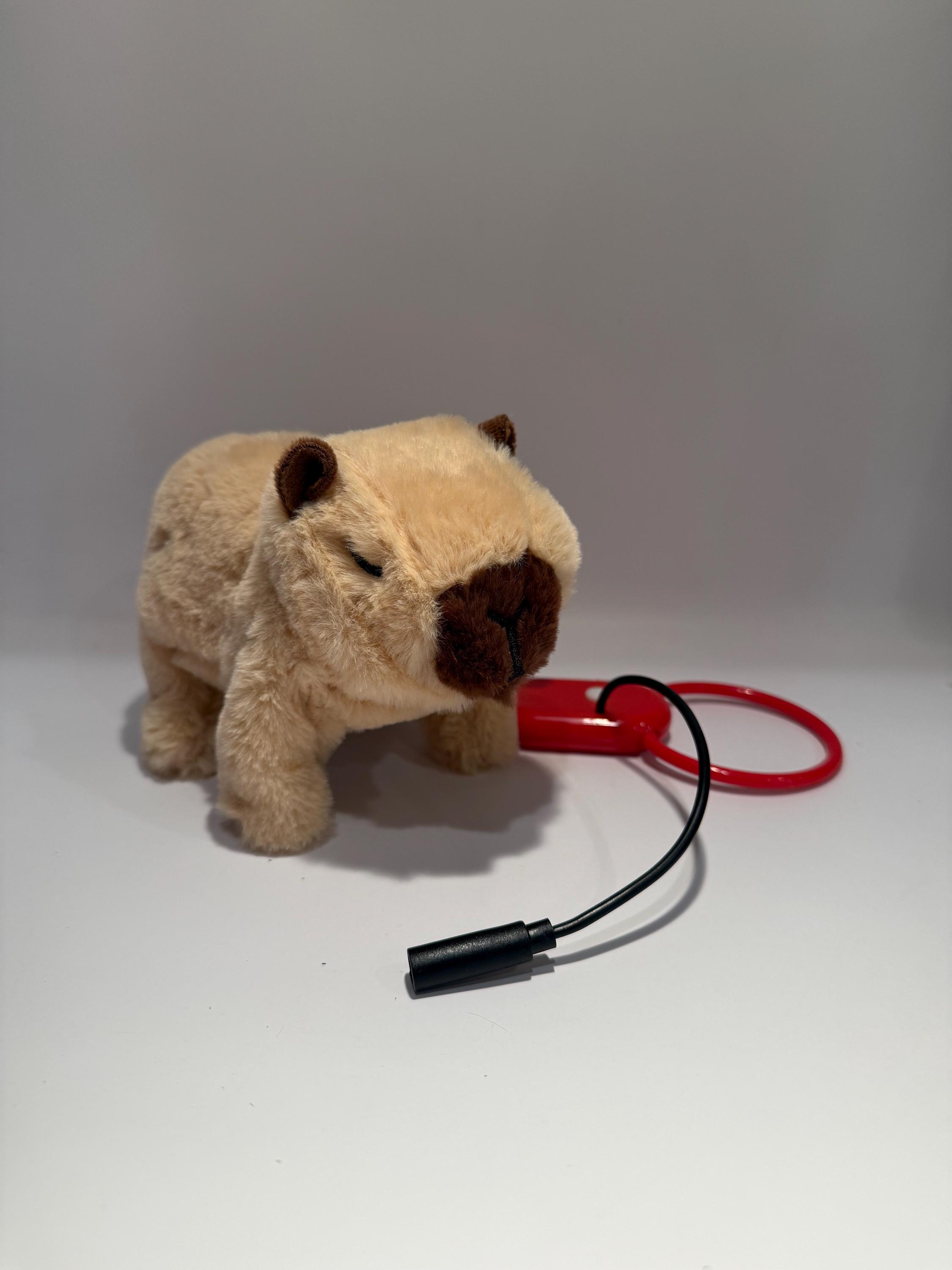 Switch Adapted Plush Capybara Walking Toy - Etsy