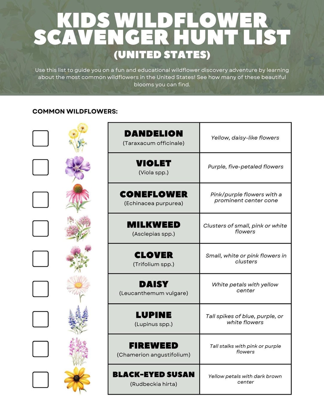 USA Wildflower Nature Walk Printable - 3-page Guide to Common U.S ...