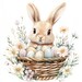 16 Bunny in Easter Basket Clipart, Watercolor Easter Egg Clip Art ...