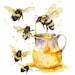 16 Bees and Honey Clipart, Watercolor Honey Jar Clip Art, Printable ...