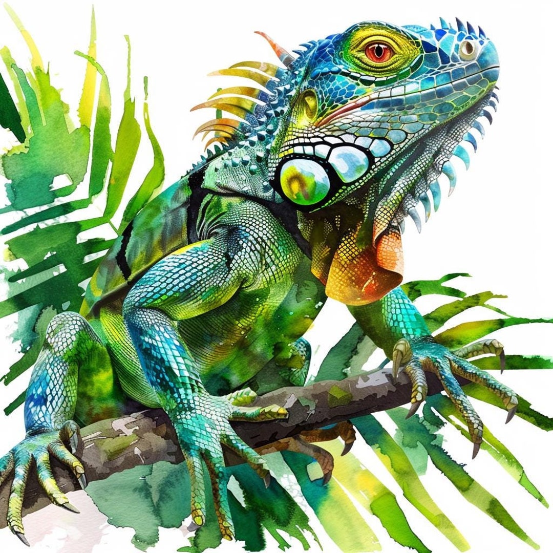 16 Colorful Iguana Clipart, Watercolor Iguana Clip Art, Printable High ...