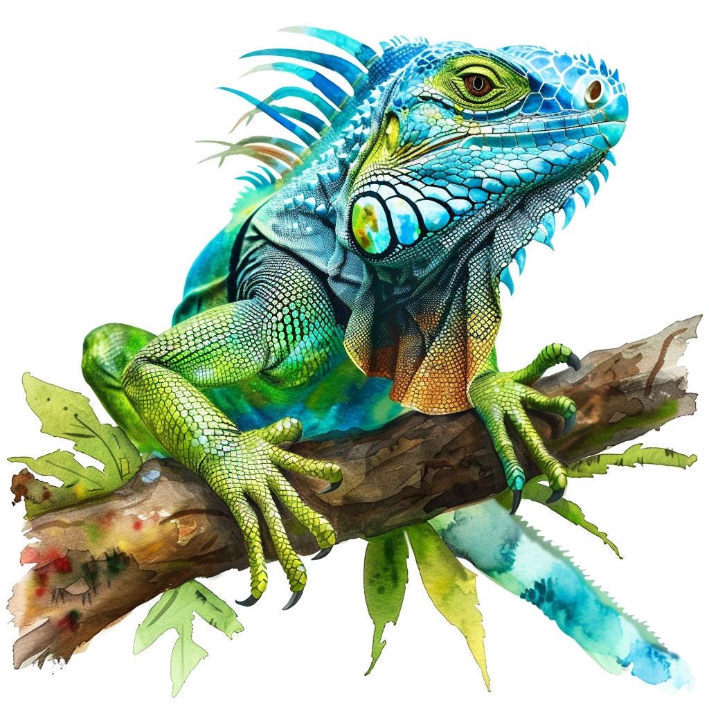 16 Colorful Iguana Clipart, Watercolor Iguana Clip Art, Printable High ...