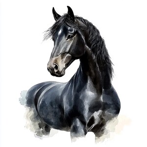 16 Black Horse Clipart, Watercolor Racehorse Animal Clip Art, Printable ...