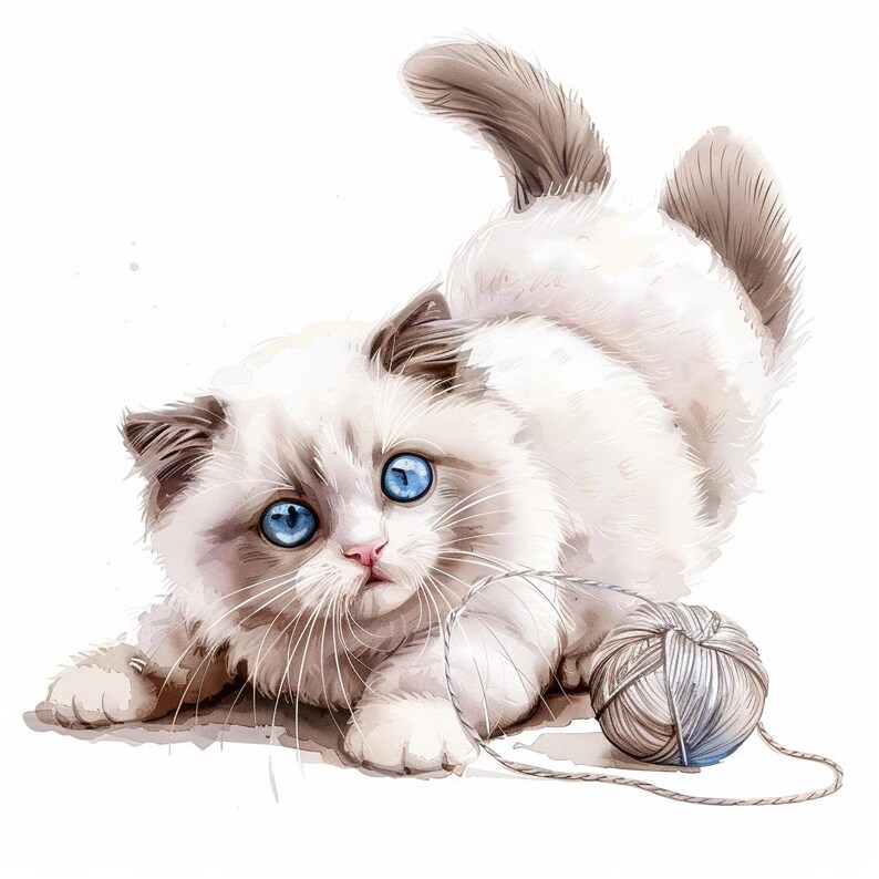 Watercolor Kitten Clipart: Playful Cat Art, Junk Journal (digital ...