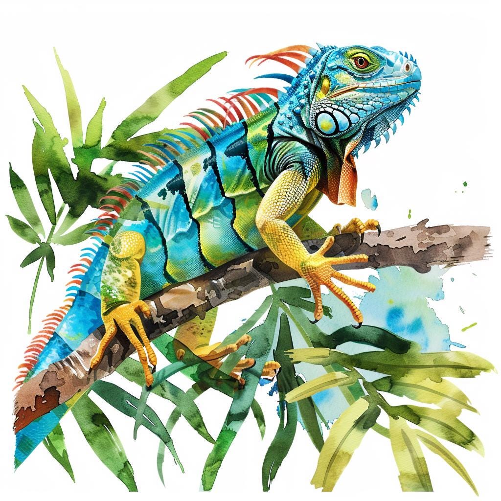 16 Colorful Iguana Clipart, Watercolor Iguana Clip Art, Printable High ...