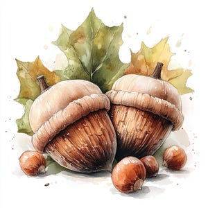 16 Autumn Acorns Clipart, Watercolor Autumn Leaves Tree Clip Art ...