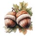 16 Autumn Acorns Clipart, Watercolor Autumn Leaves Tree Clip Art ...
