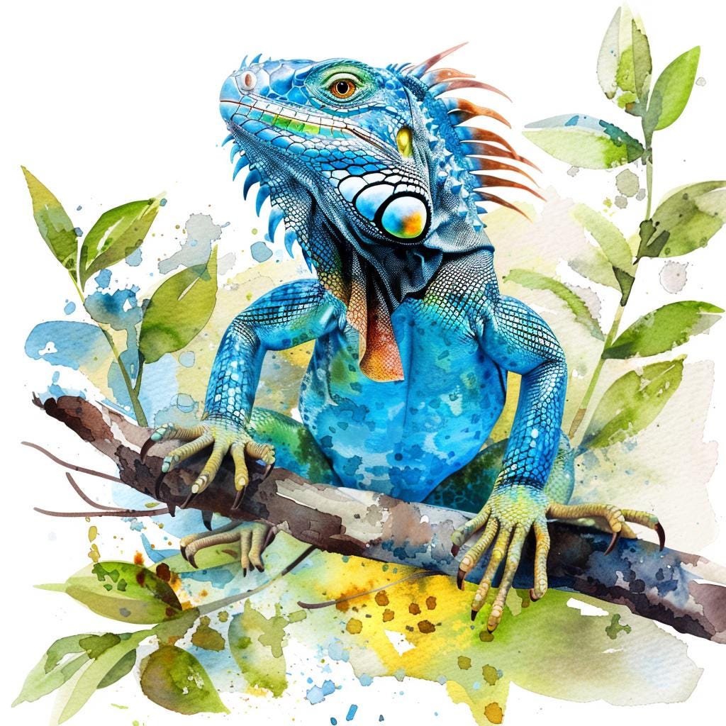 16 Colorful Iguana Clipart, Watercolor Iguana Clip Art, Printable High ...