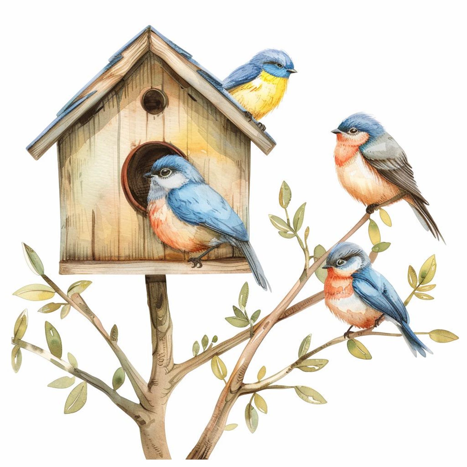 16 Birdhouse Clipart, Watercolor Bird House Clip Art, Printable High ...
