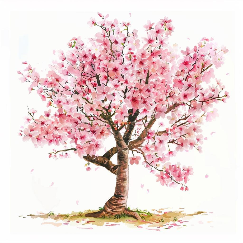20 Cherry Blossom Tree Clipart, Watercolor Pink Tree Clip Art ...
