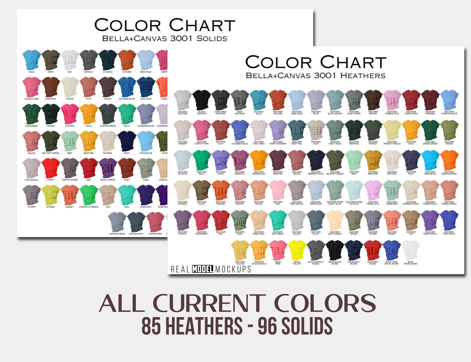 Bella Canvas 3001 Color Chart: T-shirt Mockup Templates (digital ...