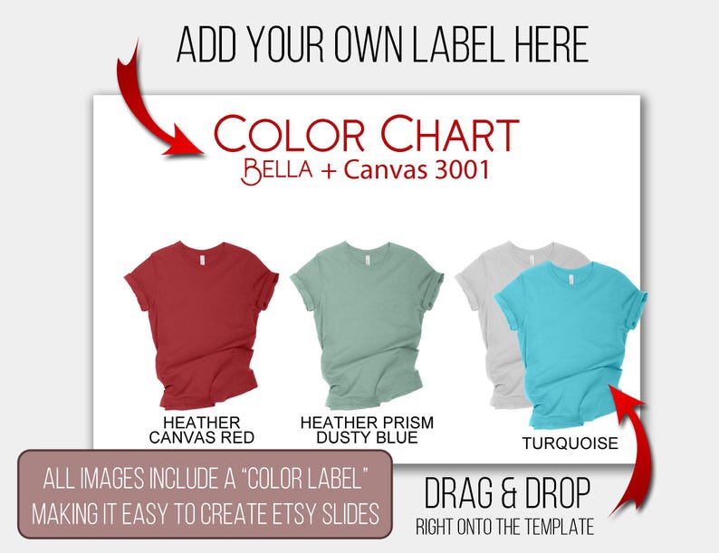 Bella Canvas 3001 Color Chart: T-shirt Mockup Templates (digital ...