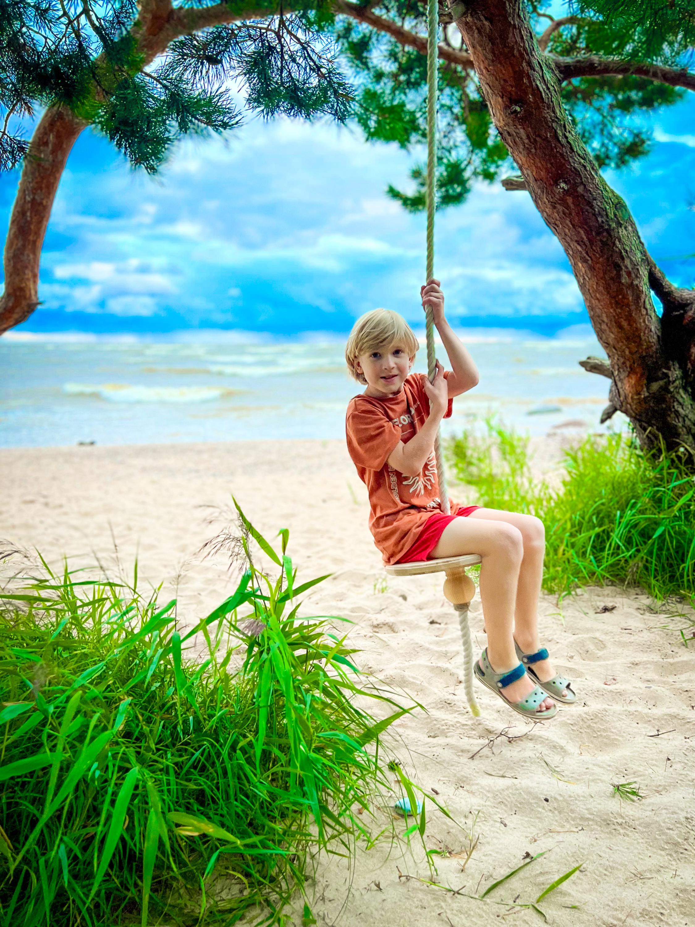 Handcrafted Classic Oak Tree Swing With Heavy-duty Rope Perfect for ...