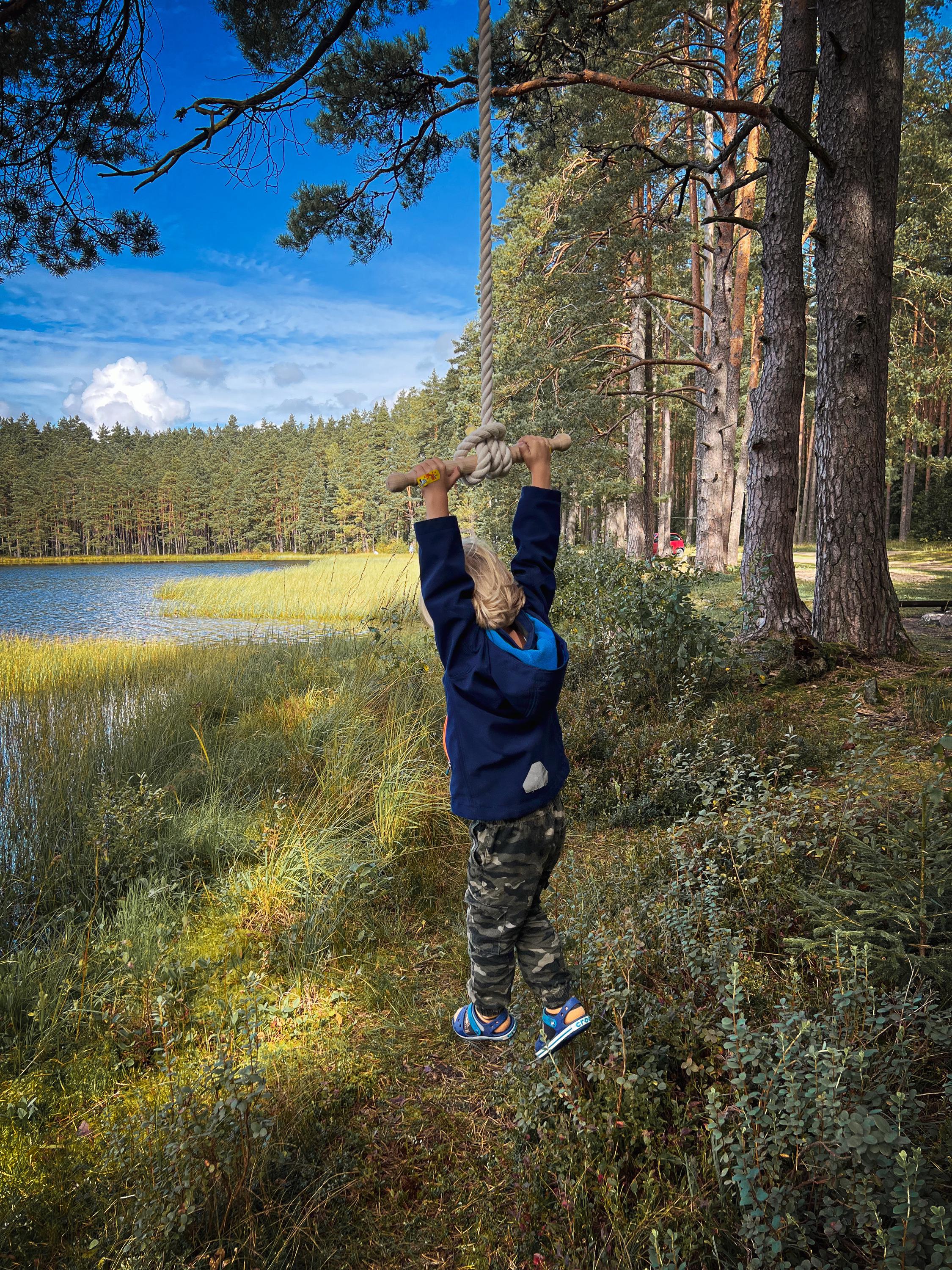 Handcrafted Wooden Jungle Swing With Durable Rope – Outdoor Adventure ...