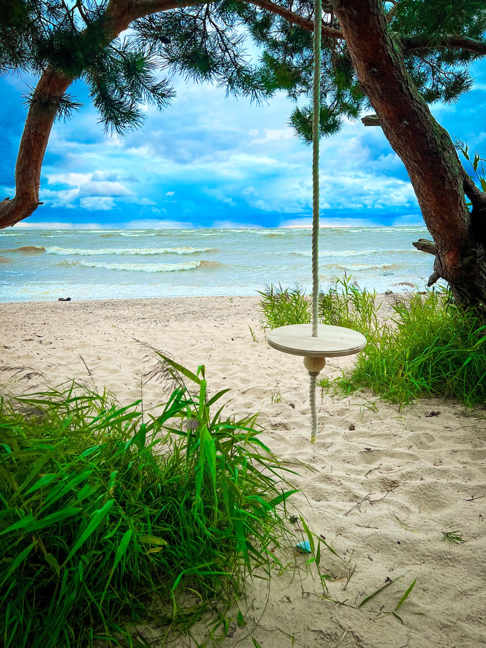 Handcrafted Classic Oak Tree Swing With Heavy-duty Rope – Perfect for ...