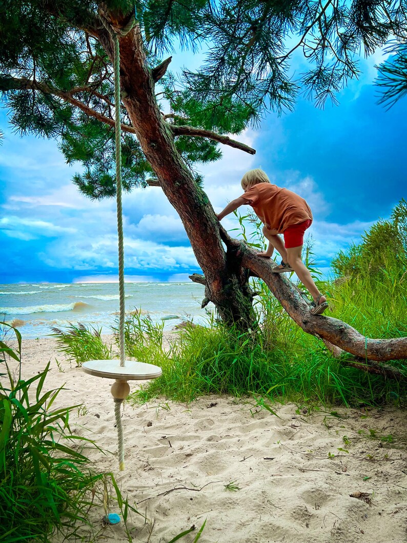 Handcrafted Classic Oak Tree Swing With Heavy-duty Rope – Perfect for ...