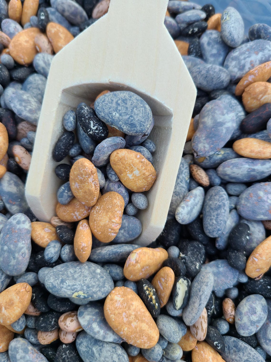 River Rocks Sensory Bin Filler - Pretend Rocks - Sensory Play - Sensory ...