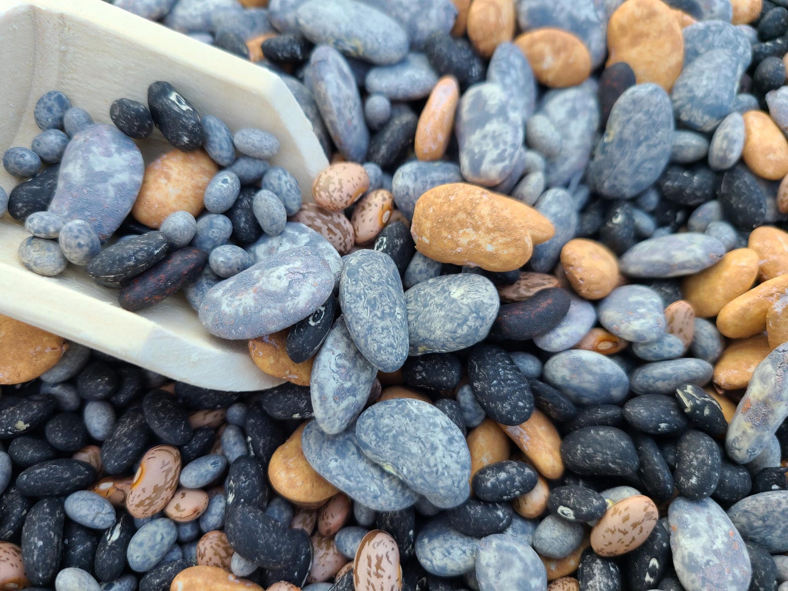 River Rocks Sensory Bin Filler - Pretend Rocks - Sensory Play - Sensory ...
