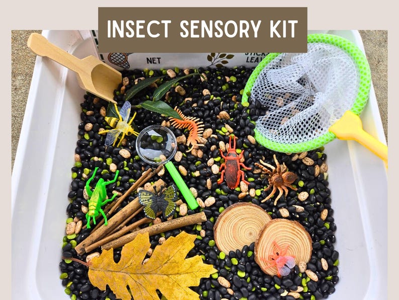 Insect Sensory Bin Kit – Bug Pretend Play - Sensory Play - Montessori ...