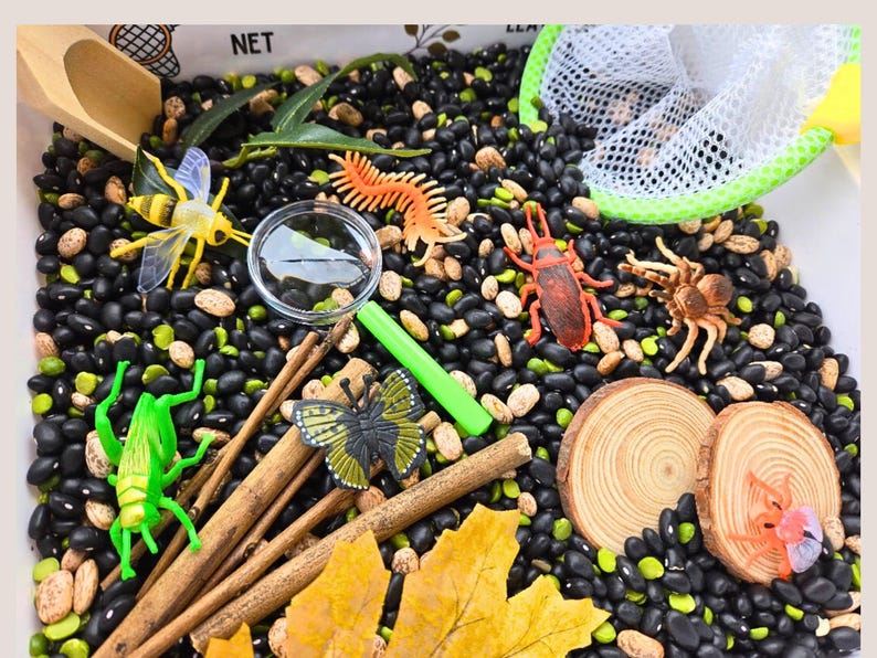 Insect Sensory Bin Kit – Bug Pretend Play - Sensory Play - Montessori ...