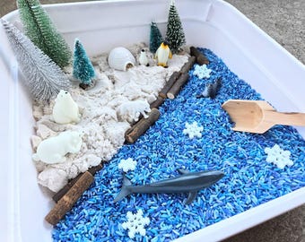 Winter Sensory Bin Arctic Sensory Bin Winter Wonderland Sensory Bin ...