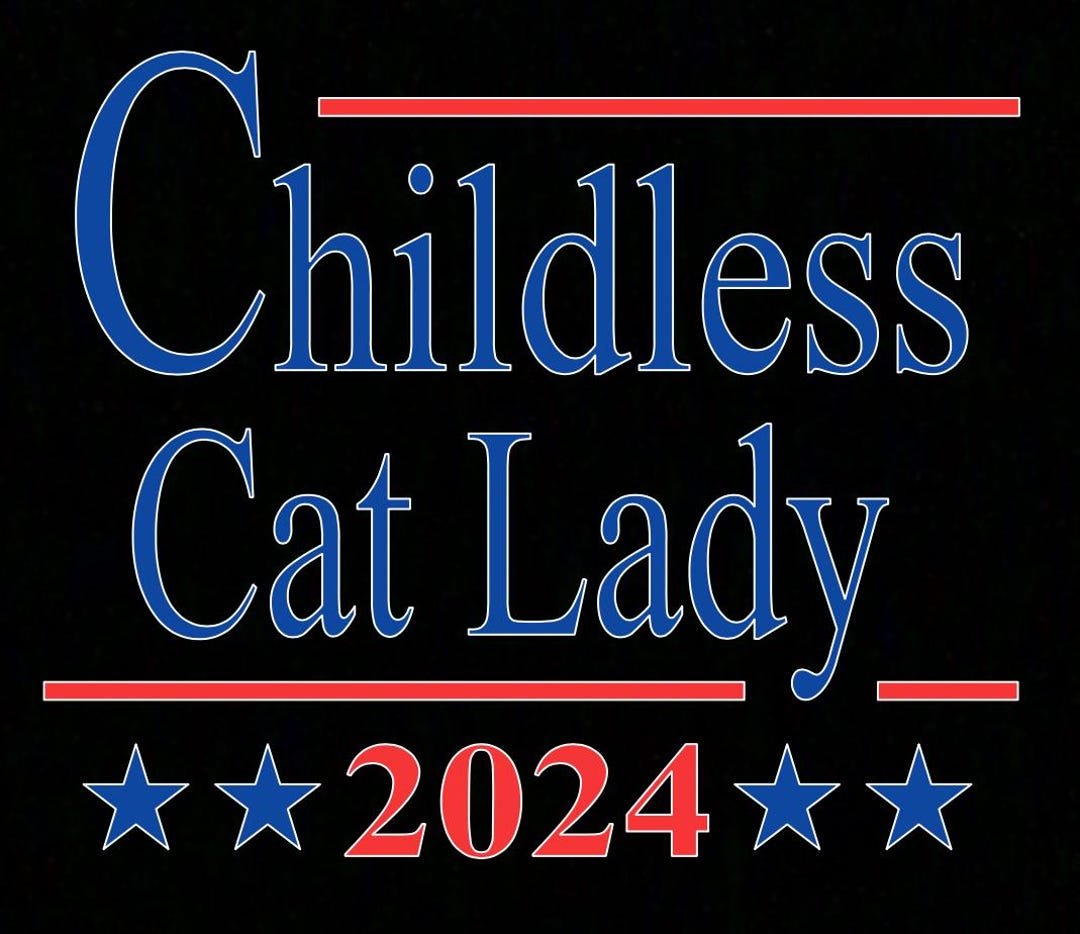 Childless Cat Lady 2024 Car Decal - Etsy