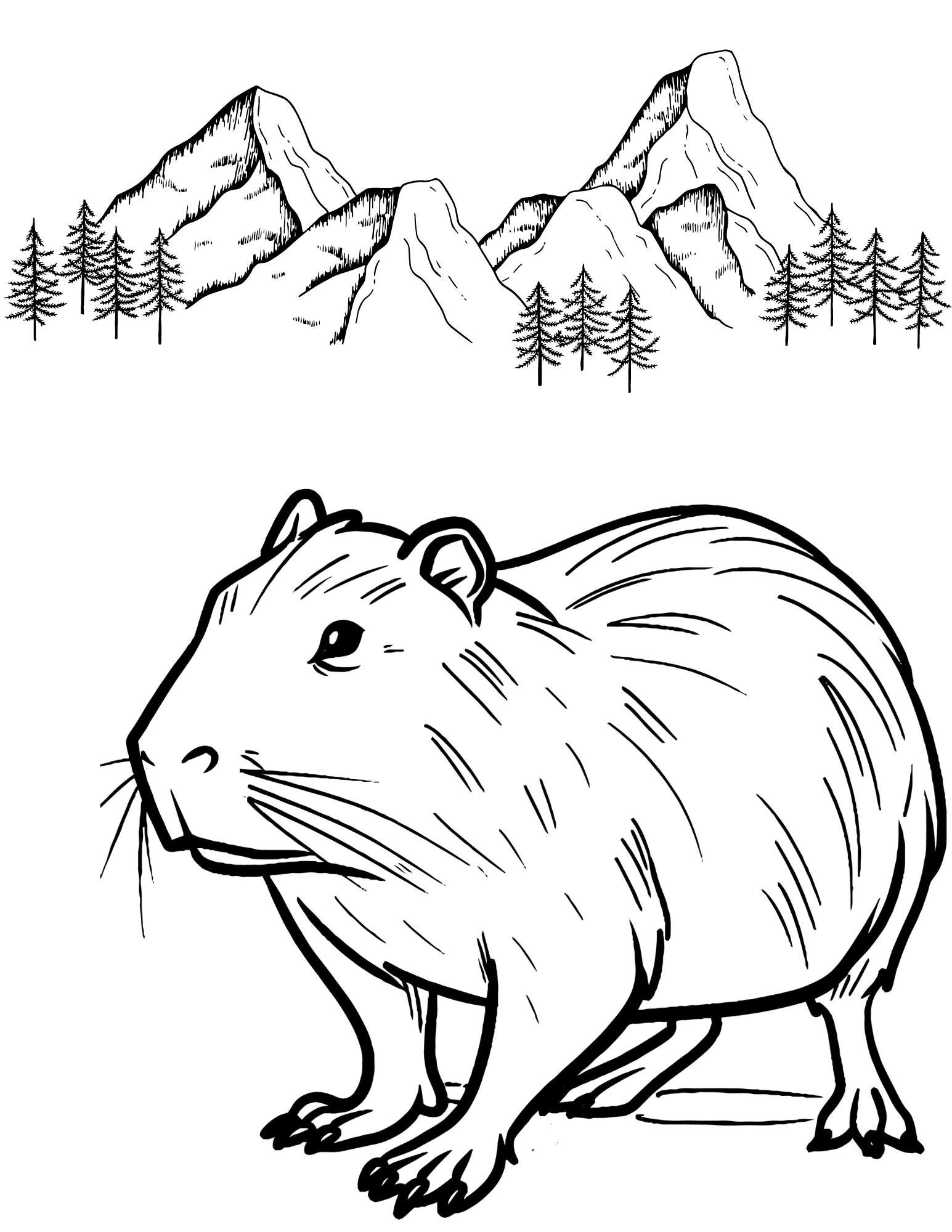 Capybara Coloring 15 Pages for Kids, Adorable Capybara Coloring Page ...