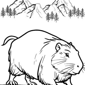 Capybara Coloring 15 Pages for Kids, Adorable Capybara Coloring Page ...