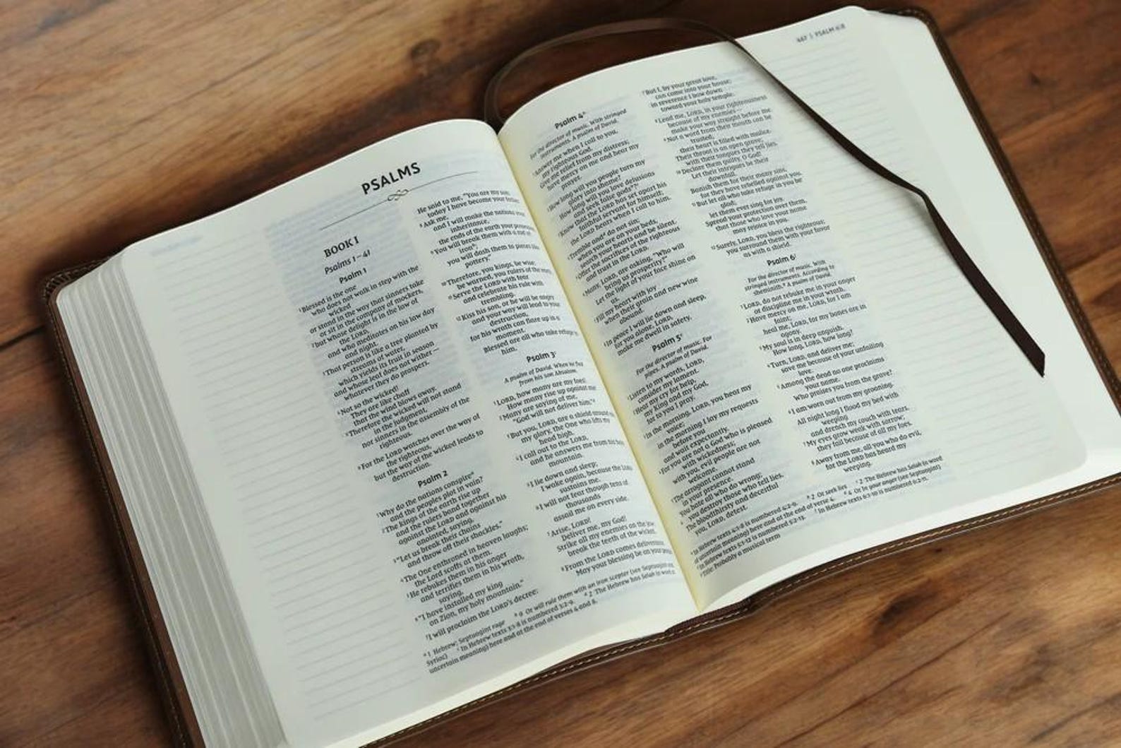 Personalized NIV Journal Bible: Lion Engraving, Lined Wide Margins - Etsy