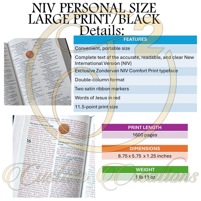 Personalized NIV Bible Large Print: Engraved Armor of God Warrior ...