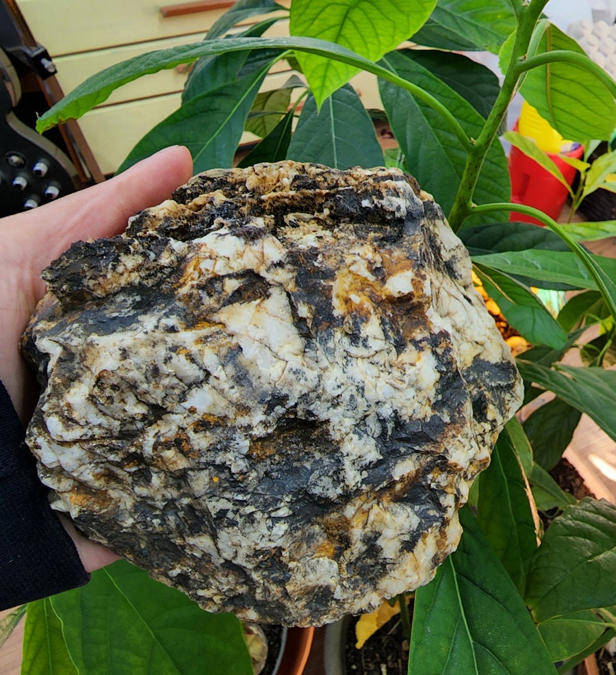 Big White Raw Quartz Crystal Rock Rough Large Stone 3lbs 8 Oz Quartzite ...