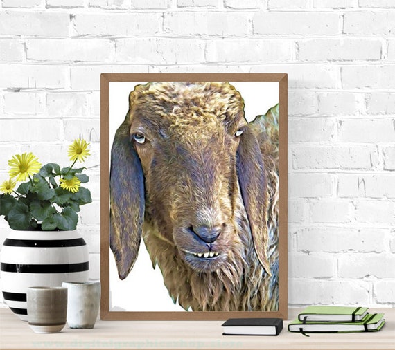 Goofy Silly Sheep Face Png Jpg Clipart Printable Art Digital | Etsy