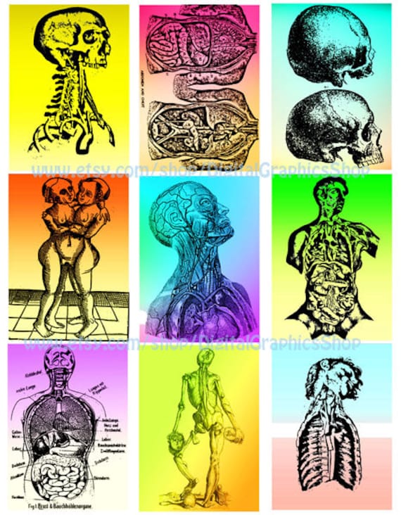 skeletons skulls digital print instant download vintage printables ...
