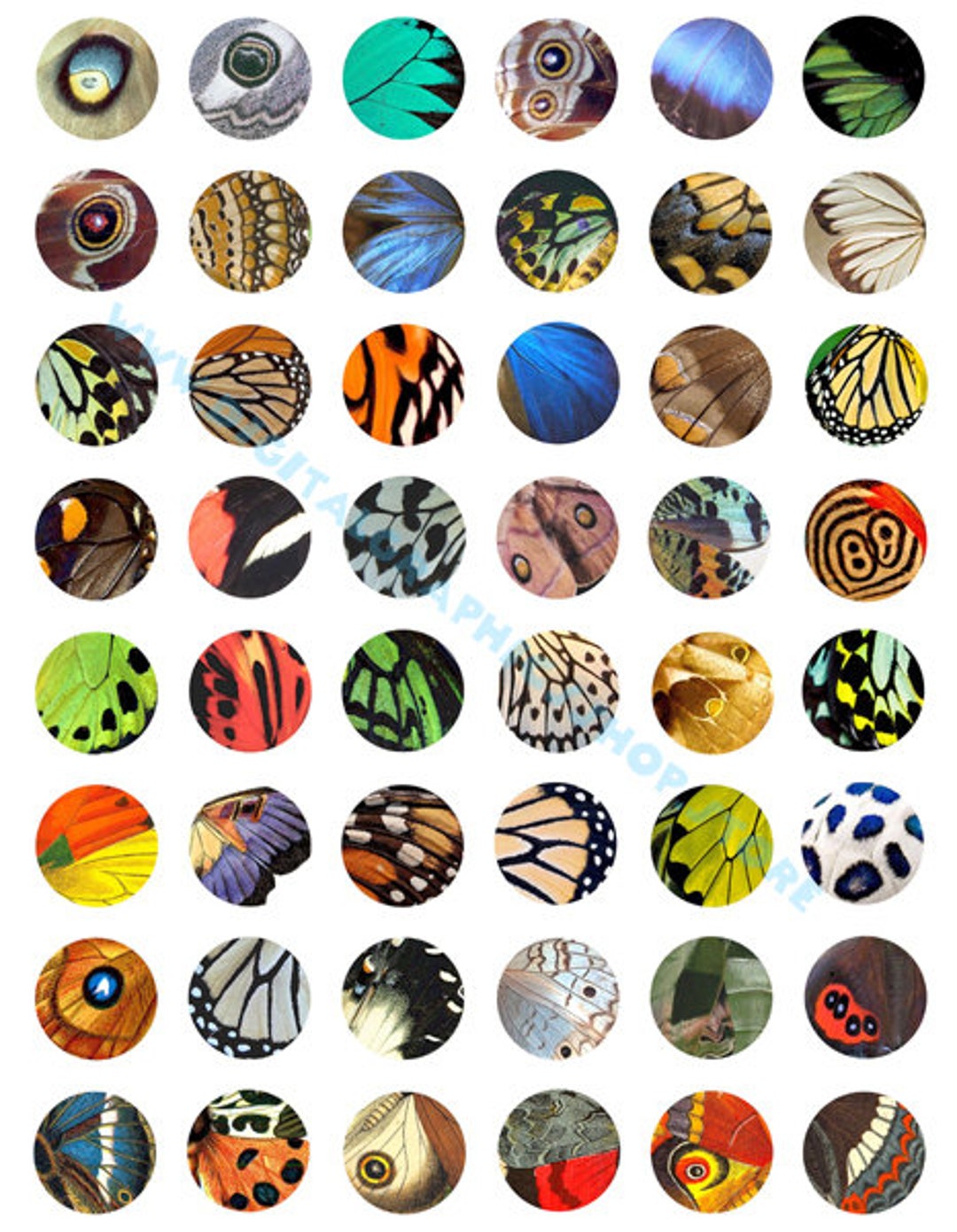 Patrones de alas de mariposa insectos clip art digital - Etsy España