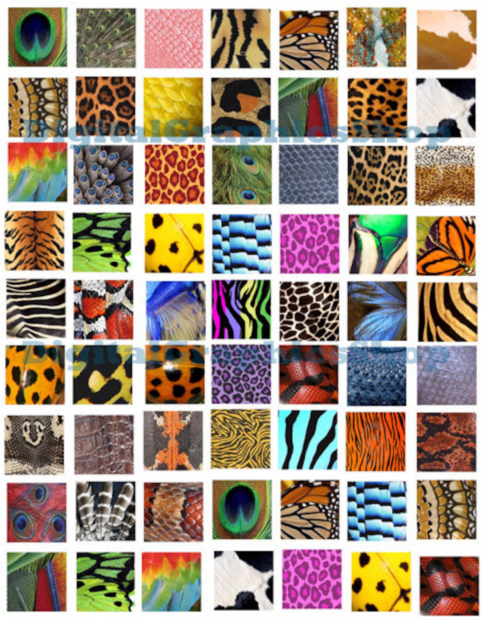 Animals Skin Patterns, Insects, Textures, Clipart, Digital Print ...