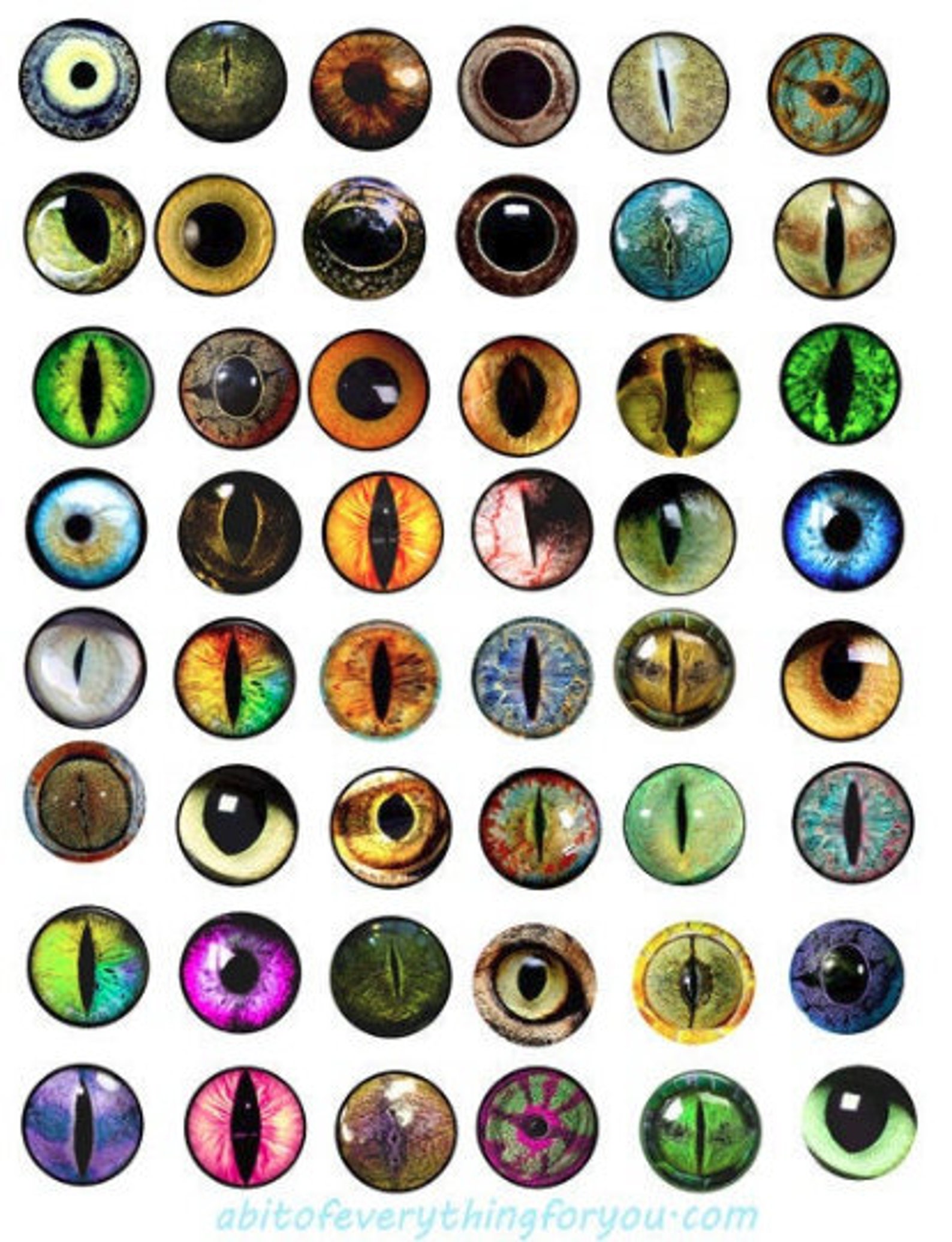 Animal Eyes Collage Sheet 1 Inch Circles Clipart Cat Lizard Snakes Eyes ...
