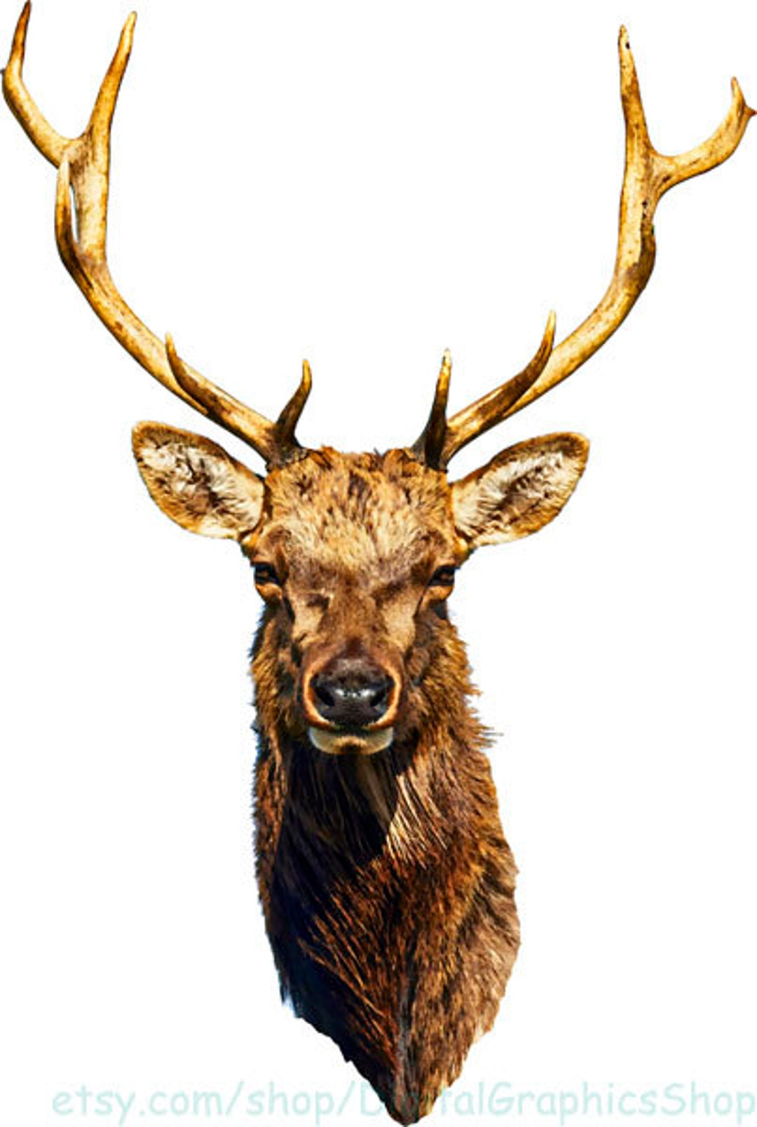 Bull Elk Png Overlay, Printable Animal Art, Instant Download, Elk ...